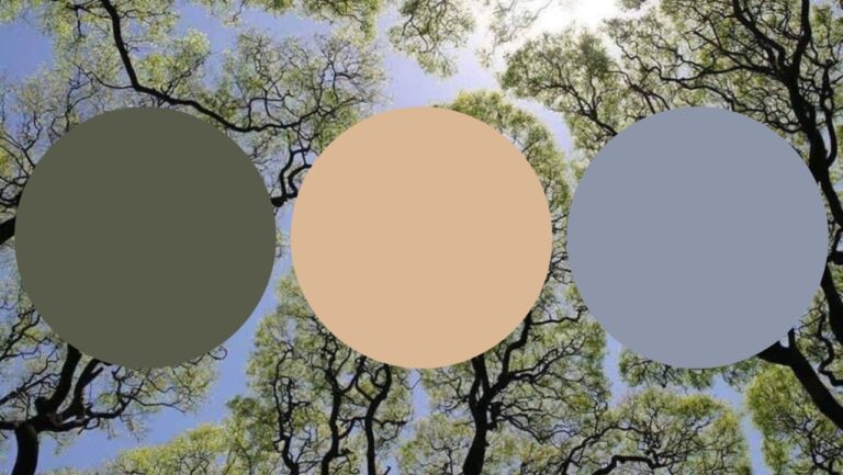 The 7 Style Essences -Quiz - Our Fashion Garden