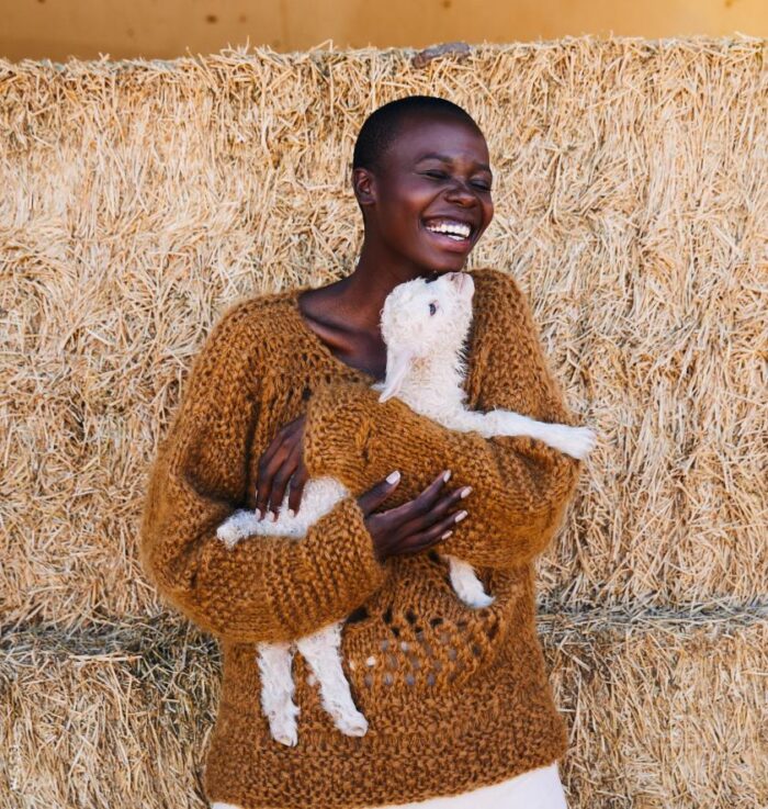 Trustworthy Animal Wool: Combining Sustainability and Innovation - Our ...