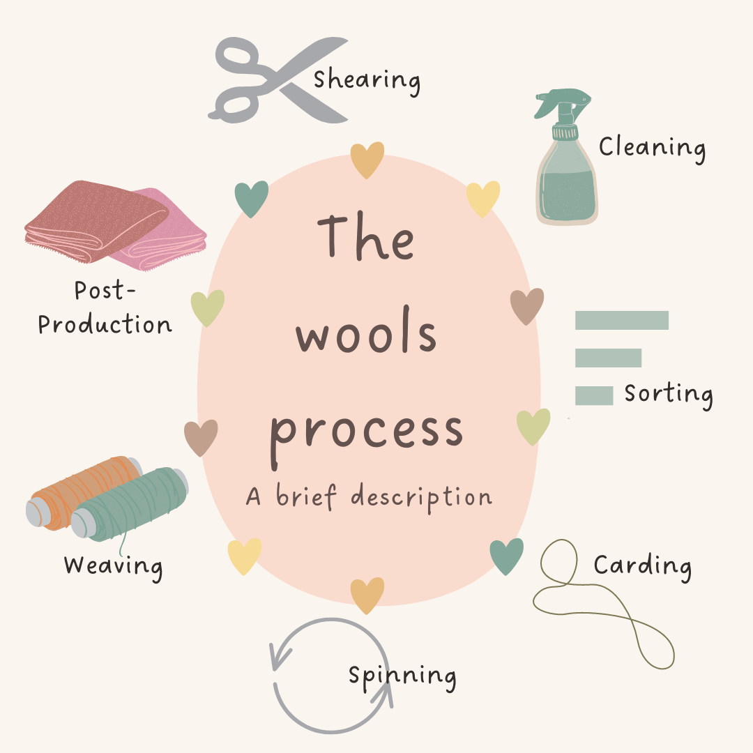 Trustworthy Animal Wool: Combining Sustainability and Innovation - Our ...
