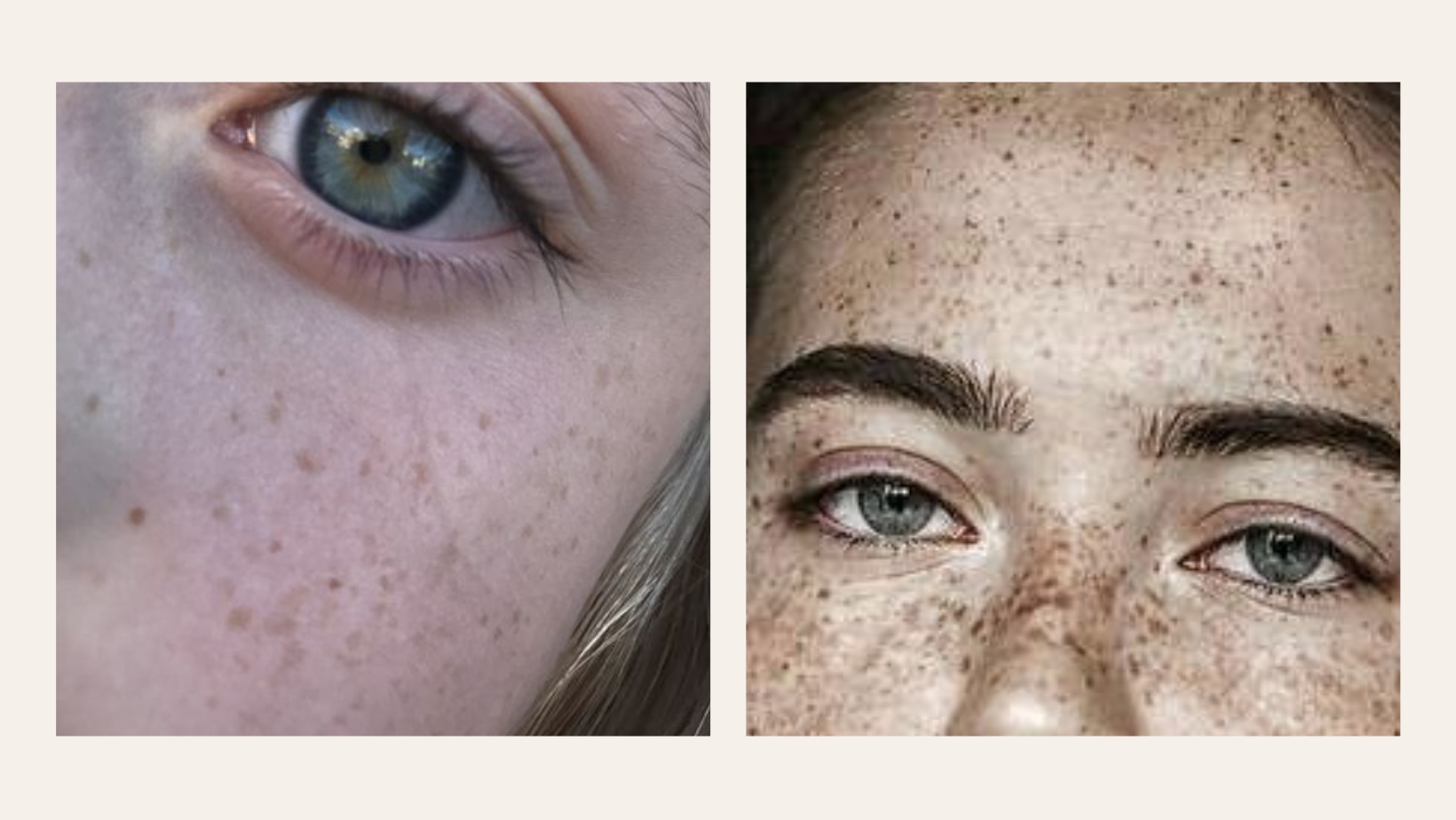 what is my seasonal color palette – the only quiz you need - Our ...