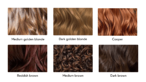 the ultimate spring seasonal color guide -find your ideal color blend ...