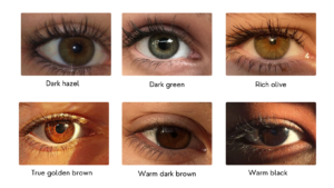 The ultimate autumn seasonal color guide -find your ideal color blend ...