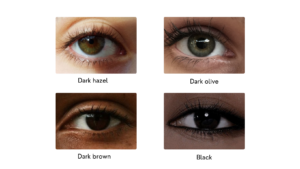 the ultimate winter seasonal color guide -find your ideal color blend ...