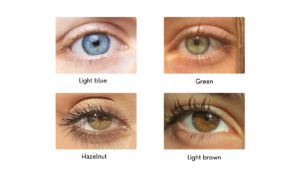 the ultimate spring seasonal color guide -find your ideal color blend ...