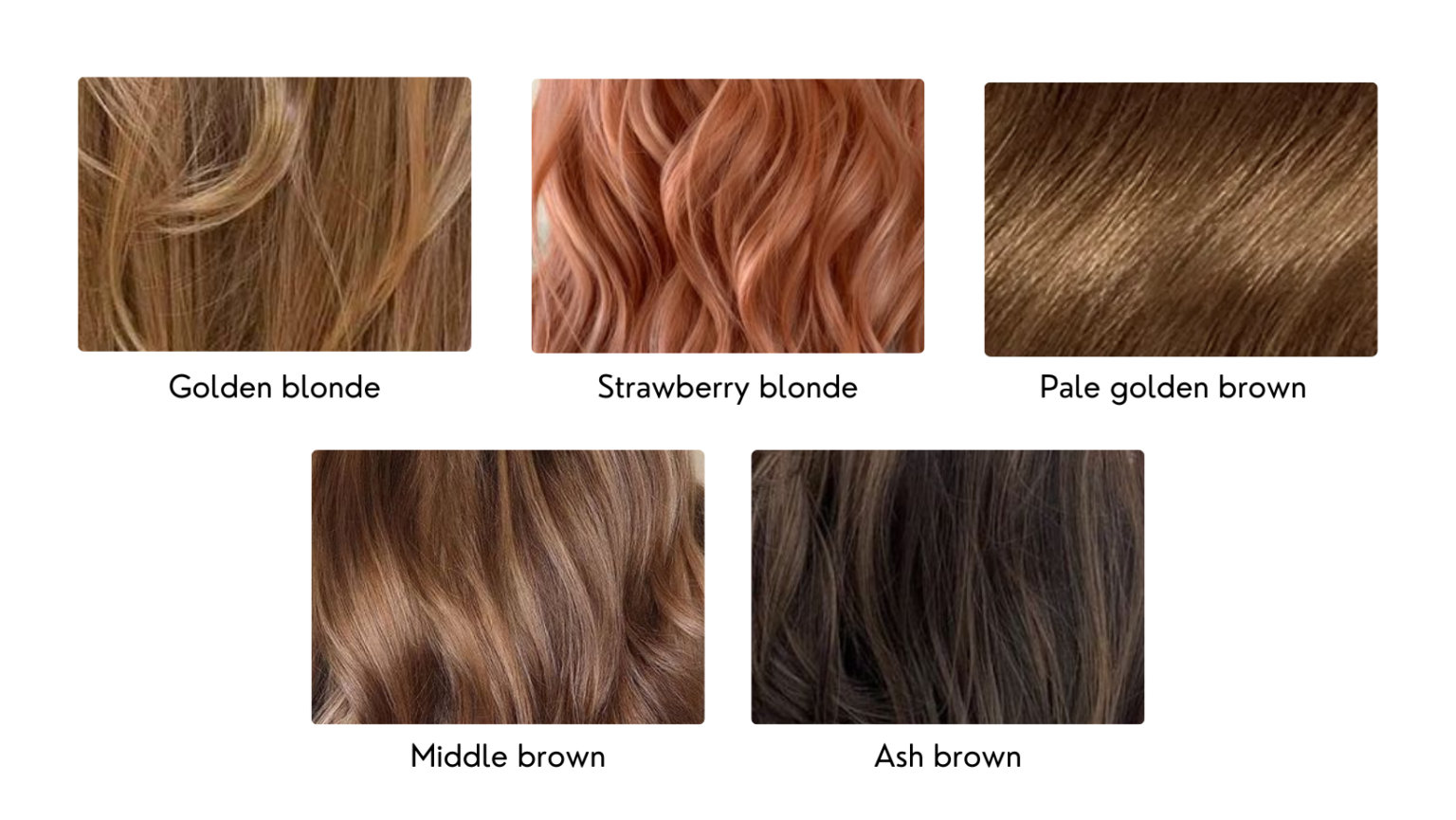 The ultimate autumn seasonal color guide -find your ideal color blend ...