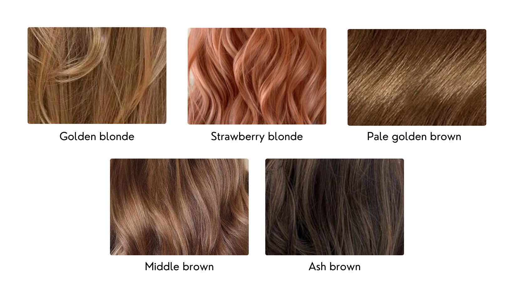 The ultimate autumn seasonal color guide -find your ideal color blend ...