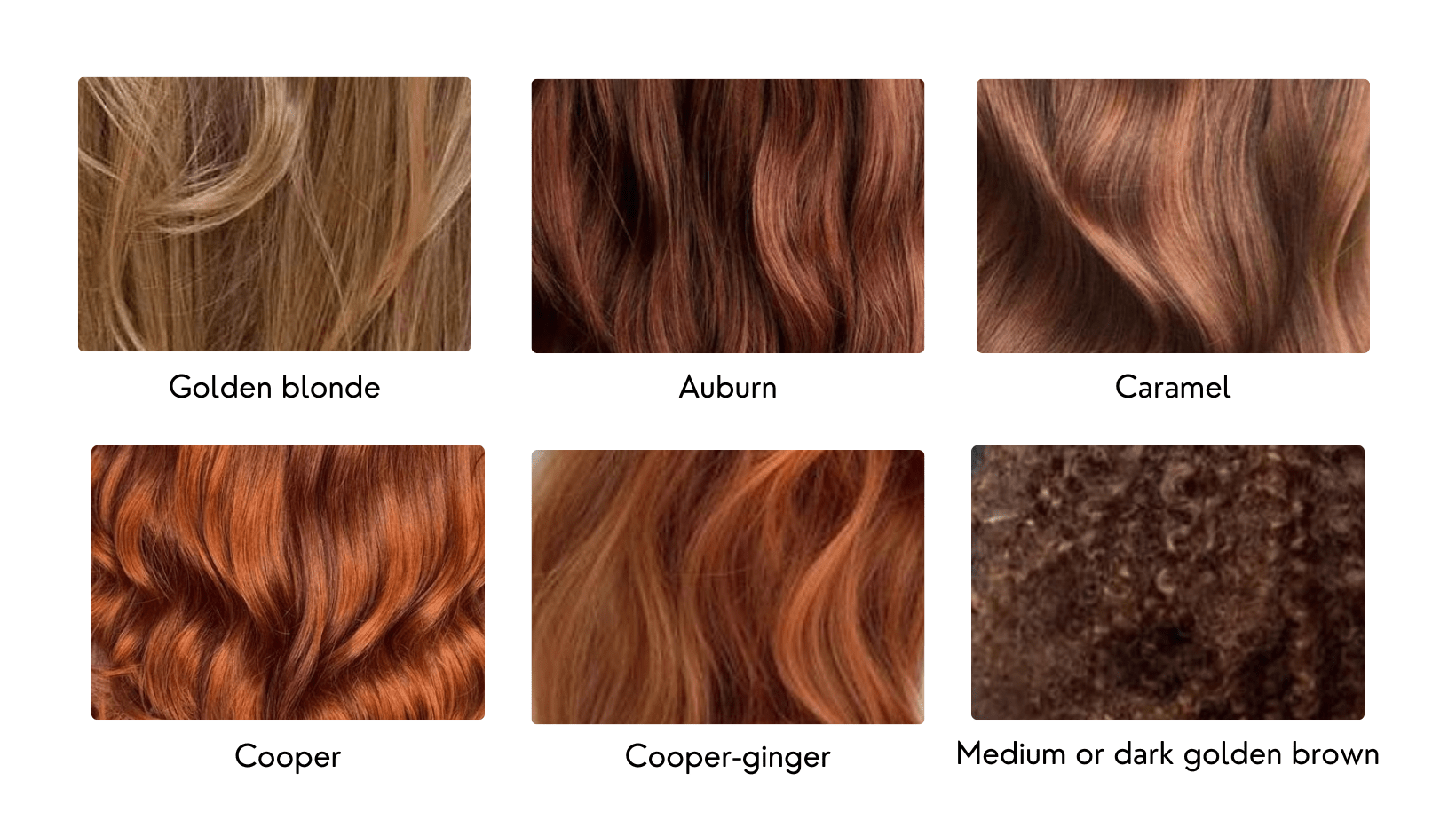 The ultimate autumn seasonal color guide -find your ideal color blend ...