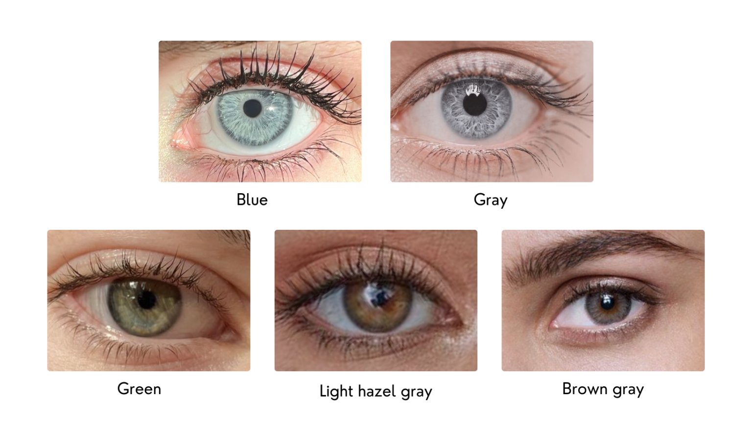 the ultimate summer seasonal color guide -find your ideal color blend - Our Fashion Garden